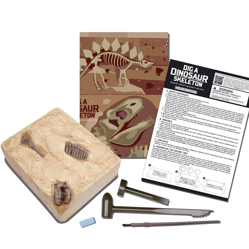 Dino Kit Velociraptor de 4M en MiniKidz